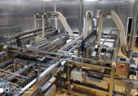 China Industrial Automatic Depanning Machine for Cupcakes & Muffins - Multiple Types Available with Rapid Change System for sale