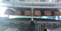 China Industrial Automatic Depanning Machine for Cupcakes & Muffins - Multiple Types Available with Rapid Change System for sale