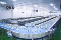 China S Shape Food Industry Conveyor - 90° & 180° Modular Belt Turning System for Cake & Bread Cooling for sale