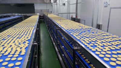 China FDA SUS304 Food Industry Conveyor System with VFD Control - Single/Multi-Deck Cooling Conveyor for Bakery Production Lines for sale