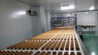 China Multi-Layer Straight Cooling Belt Conveyor 300-1200mm Width for Bakery Food Industry with VFD Control for sale
