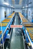 China VFD 3 Phase 220V PU Conveyor Belt Cooling System with FDA Stainless Steel Construction for Bakery Industry for sale