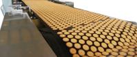China Steel Belt Convection Tunnel Oven for Biscuits & Cakes - Gas-Powered Baking System with Customizable Zones for sale