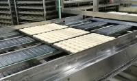 China 304 Stainless Steel Straight Pan Conveying Slat Chain Conveyor - Custom Widths & Lengths Available for sale