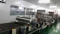 China 380V Continuous Motion Tray Cleaning Machine with Multi-Sensor Safety System for Industrial Baking Lines for sale