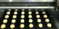 China Stainless Steel 2M Width In-Line Cookie Depositor with Touch Screen Control for Automatic Production Lines for sale