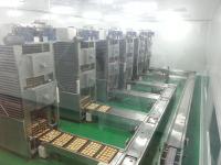 China 380V Industrial Egg Yolk Cake Production Line with Independent Temperature Control and Automated Baking System for sale