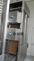China 220V 500KG/H Automatic Mooncake Production Line with Multi-Zone Tunnel Oven and Packaging for sale
