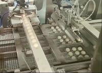 China Turnkey Multi-Step Proofer Automated Bread Making Machine for Industrial Bakery Production Line for sale