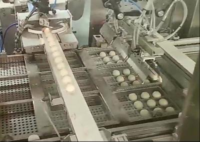 China Turnkey Multi-Step Proofer Automated Bread Making Machine for Industrial Bakery Production Line for sale