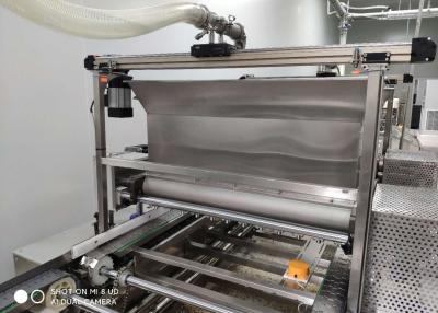 China Flip Over Depanner Nagasaki Cake Automatic Cake Production Line for sale