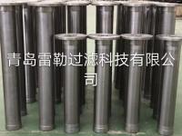 China Titanium Wedge Wire Strainer , Wedge Wire Screen Filter 200 Micron Length 890mm for sale
