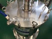 China Mirror Polish Surface Automatic Self Cleaning Filters For Lithium Battery Slurry for sale