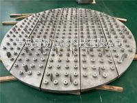 China Desalination SS316L 50mm Pressure Ion Exchanger Nozzles for sale