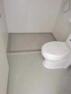 China High Strength SMC Molded Wall Panel for Construction Lightweight SMC Structural Wall Panel for sale