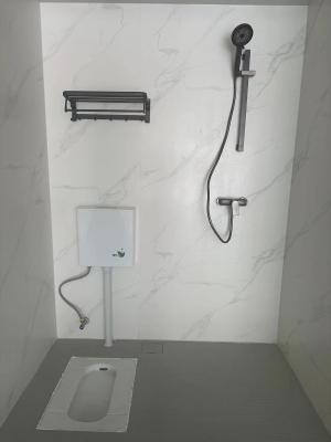 China Custom SMC Bathroom Accessories OEM ODM SMC bathroom components SMC integrated bathroom for sale