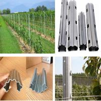 China Vineyard Support Cnc Roll Forming Machine Galvanized Steel 4kw for sale