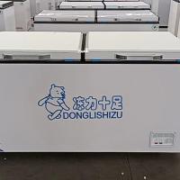 China Household Deep Freeze Chest Freezer CE Certified Double Door Chest Freezer Light Duty for sale