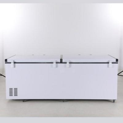 China Eco Friendly Deep Freezer Refrigerator 296L Two Door Deep Freezer LED Interior Lit for sale