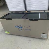 China Eco Friendly Deep Freezer Refrigerator 296L Two Door Deep Freezer LED Interior Lit for sale