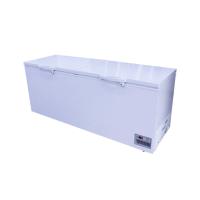 China 383L Double Door Deep Freezer 200w Restaurant Deep Freezer High Capacity for sale