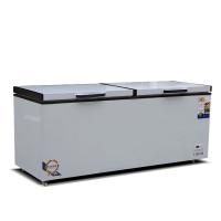 China Food Grade Stainless Steel Deep Freezer 592L 2 Door Chest Freezer for sale