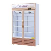 China Vertical Beverage Display Cooler Transparent Glass Door Commercial Refrigerator 500L for sale