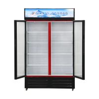 China LED Side Panel 900L Double-Door Plug in Refrigerated Beverage Display Cabinet for sale
