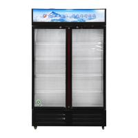 China Urban Convenience Store 900L Double-Door Refrigerated Beverage Display Cabinet for sale