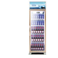 China 400L Convenience Store Display Cooler CE Certified Single Door Upright Freezer 265W for sale