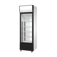 China 400L Convenience Store Display Cooler CE Certified Single Door Upright Freezer 265W for sale
