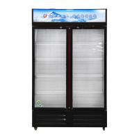 China Electronic Controller 900L Double-Door Refrigerated Beverage Display Cabinet for sale