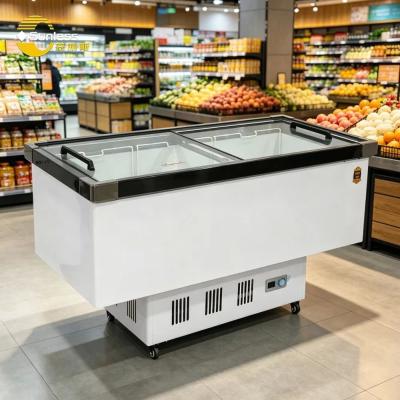 China Double Door Flat Top Display Freezer Single Temperature Chest Freezer Refrigerator for sale