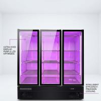 China Double Temperature Commercial Meat Cooler 2100L 2 Door Display Freezer 650W for sale