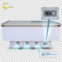 China Double Door Flat Top Display Freezer Single Temperature Chest Freezer Refrigerator for sale