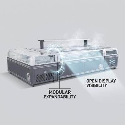China Supermarket Modular Combined Island Refrigerator Open Type Display Freezer for Grocery Store for sale