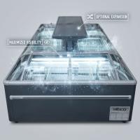 China 400W Combined Island Freezer Manual Defrost Ice Cream Chest Freezer 800L for sale