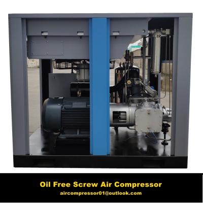 China High End Screw Oil Free Dry Air Compressor for Food Processing for sale