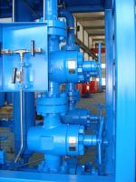 China 10000 Psi Surface Test Tree Dual Port Sand Filter Skid Mounted API 6A Standard for sale