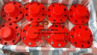 China RTJ API 6A Wellhead Blind Flange Alloy Steel Forging for sale
