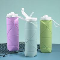 China Silicone Collapsible Water Bottles Pop Its Water Bottle For Toddlers Camping Cup With Carabiner for sale