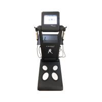 China CE 240V Body Composition Analyzer BMI Muscle Fat Scale for sale