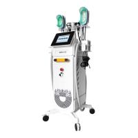 China 360 Cryolipolysis Slimming Machine / Fat Freezing Machine Cellulite Removal for sale