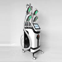 China 4 Handles Cryolipolysis 360 Machine Vacuum Fat Removal Body Slimming Machine for sale