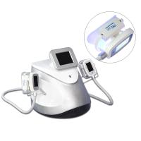 China 4 Handles 360 Fat Freezing Cryolipolysis Machine Weight Loss Body Sculpting Machine for sale