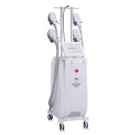 China Vertical Cryolipolysis Fat Slimming Machine For Weight Loss for sale