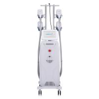China Vertical Cryolipolysis Fat Slimming Machine For Weight Loss for sale