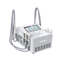 China Butterfly Arm Cryolipolysis Fat Freezing Machine Non Vacuum Ems Cryo Paddles For Face for sale
