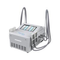 China Butterfly Arm Cryolipolysis Fat Freezing Machine Non Vacuum Ems Cryo Paddles For Face for sale