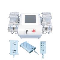 China Multi Language 8D Lipo Laser Slimming Machine For Loss Weight for sale